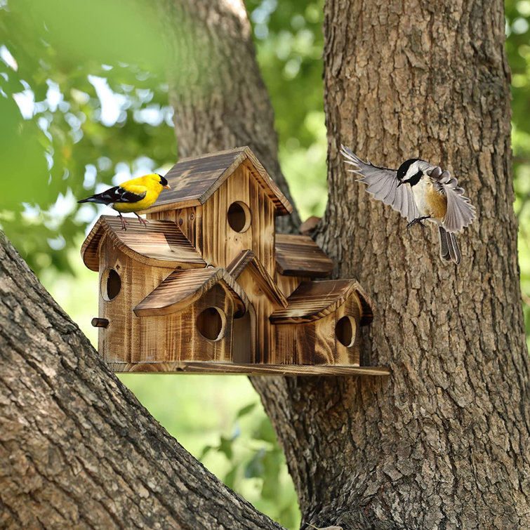 Millwood Pines Maison d'oiseaux 9 po x 11 po x 7 po Adio - Wayfair Canada